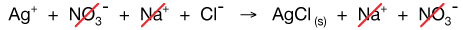 Net ionic equations